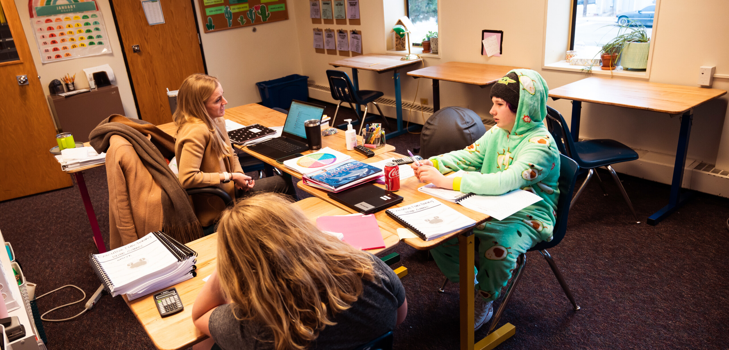 Humanex Academy – Individualized Secondary Education