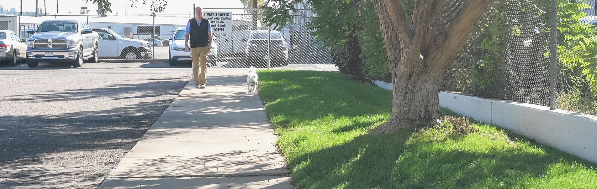 Humanex Academy – Individualized Secondary Education